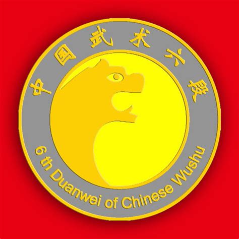 六段徽章 衡水市武术馆 官网