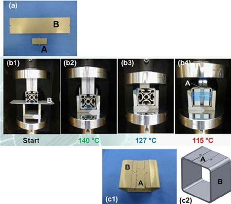 Programming Procedure For Programmed Active Disassembly Download Scientific Diagram