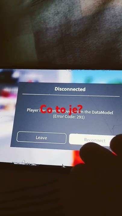 Player Has Been Removed From The Datamodel Youtube