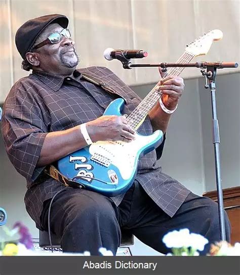 بیگ جک جانسون معنی در دیکشنری آبادیس