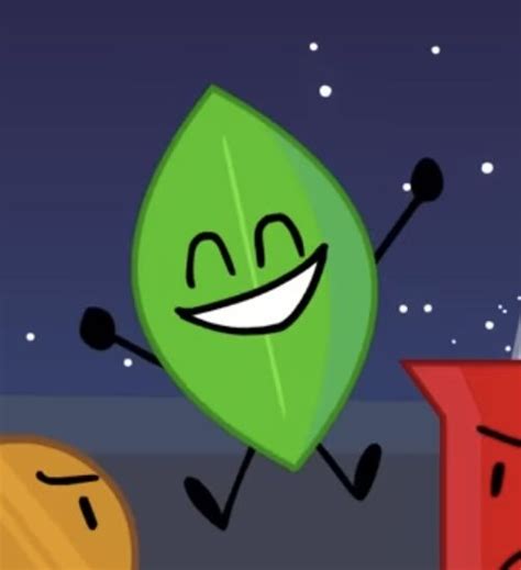 Leafy Bfdi Icons