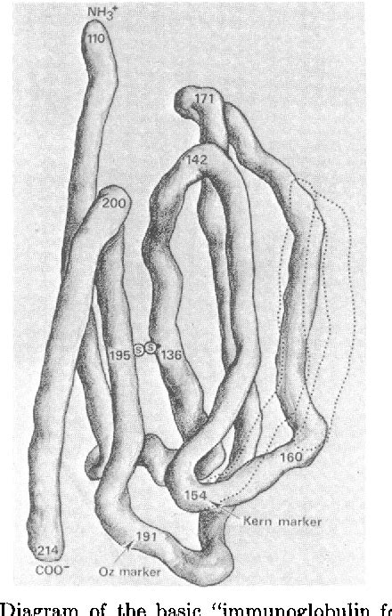 Figure 4 From Three Dimensional Structure Of The Fab Fragment Of A Human 0 Immunoglobulin At 2
