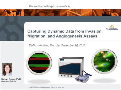Capturing Dynamic Data From Migration Invasion And Angiogenesis Assays Cell Microsystems
