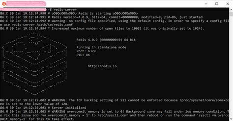 introduction to redis installing it locally to write and read from node js by akila rajkumar