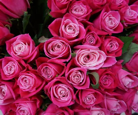 Super 1 Foods Weve Got A Super Rose Sale Happening Now Facebook