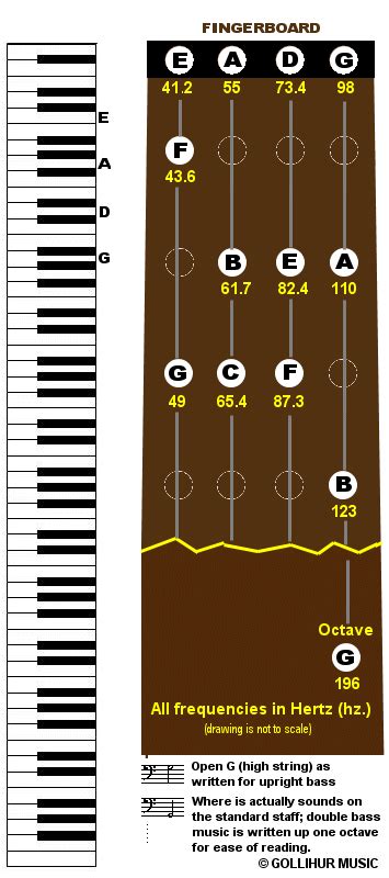 Notes Oof The Upright Bass Hotsell