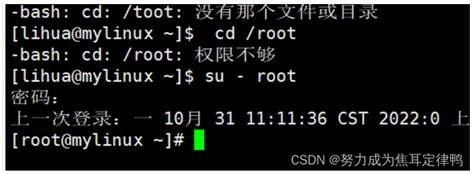 Linux 关机and重启操作 用户登录和注销 添加用户 指定 修改密码 删除用户 查询用户信息 切换用户 查询当前用户 登录用户 用户组 修改用户的组 用户组和相关文件 阿里云开发者社区