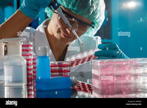 Human Genetics High Resolution Stock Photography And Images Alamy