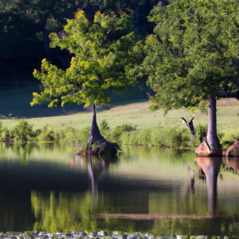 Freshwater Bass A Guide To Catching And Enjoying The Thrill Of Fishing
