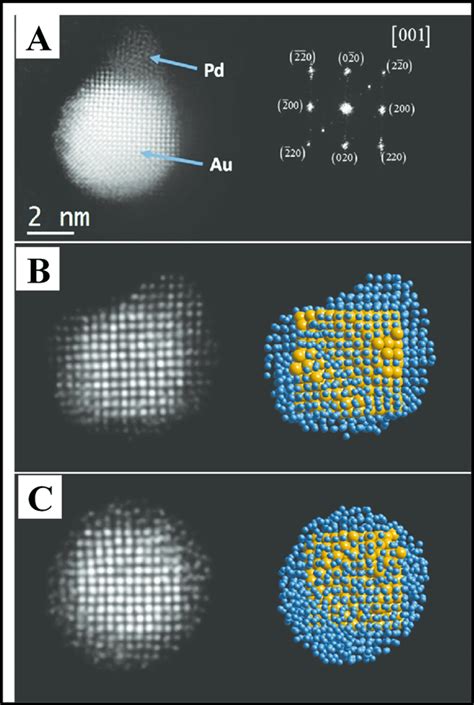21 A Stem Image Of Au Nanoparticles With Segregated Pd Right Side Download Scientific