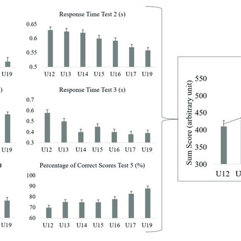 Mock Data Demonstrating How The Results From Individual Assessments Download Scientific