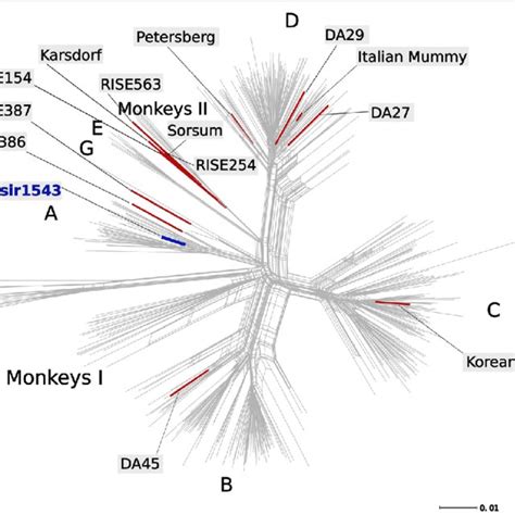 Genome Coverage Plots A Genome Coverage Plot Of M Leprae From The Download Scientific Diagram