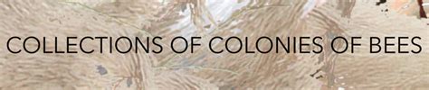 Collections Of Colonies Of Bees Store Polyvinyl Record Co