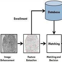 Illustration Of The Fingerprint Data Used In This Work A C Are Download Scientific Diagram