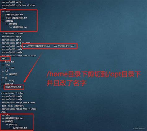 深入解析linux进程文件:proc虚拟文件系统与进程监控指南 Linux命令大全手册 深入解析linux进程文件:proc虚拟文件系统与进程监控指南 Linux命令大全手册