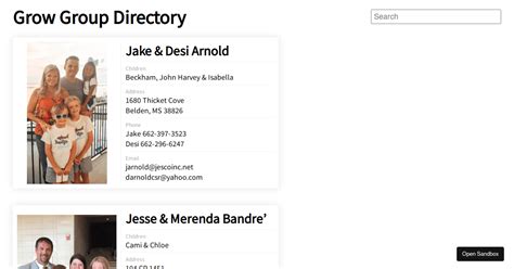 React Fuzzy Filter Examples Codesandbox