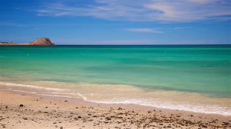Visit Cabo Pulmo 2022 Travel Guide For Cabo Pulmo Baja California Sur
