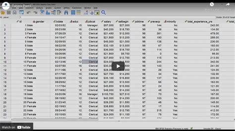 Working With Spss Custom Tables Smart Vision Europe
