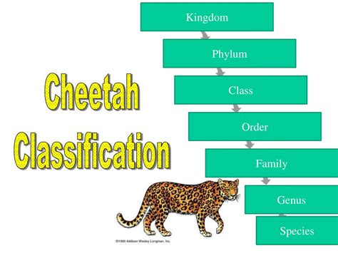 Ppt Classification History Powerpoint Presentation Free Download