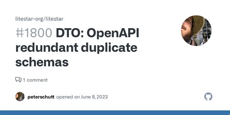 Dto Openapi Redundant Duplicate Schemas · Issue 1800 · Litestar Orglitestar · Github