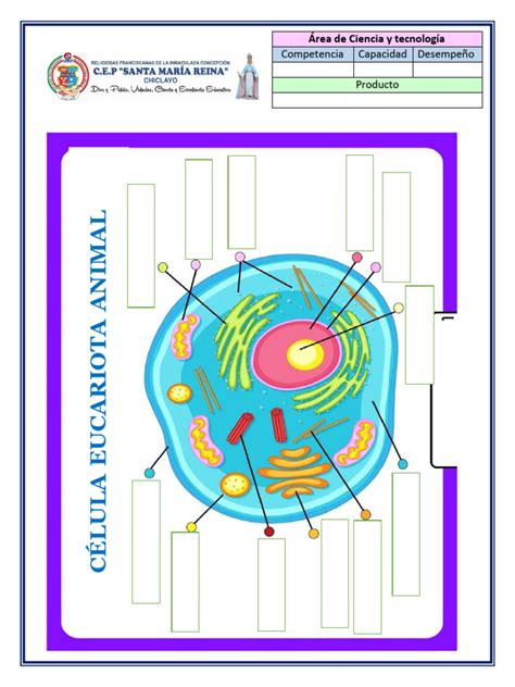 Ficha N01 La Celula Pdf
