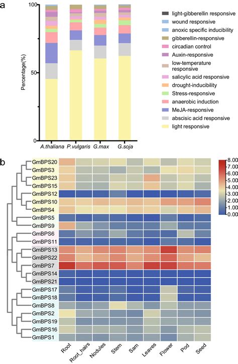 Analysis Of Promoter Cis Regulatory Element In Four Species And