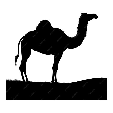 Silueta Wielbłąda Na Szczycie Najpiękniejszy Wzór Bakra Eid Na Białym Tle Eid Ul Adha Wektor