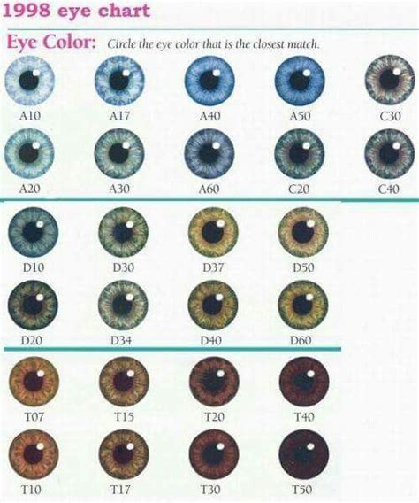 Asian Eye Color Chart Fascinating And Unusual Facts About Green Eye