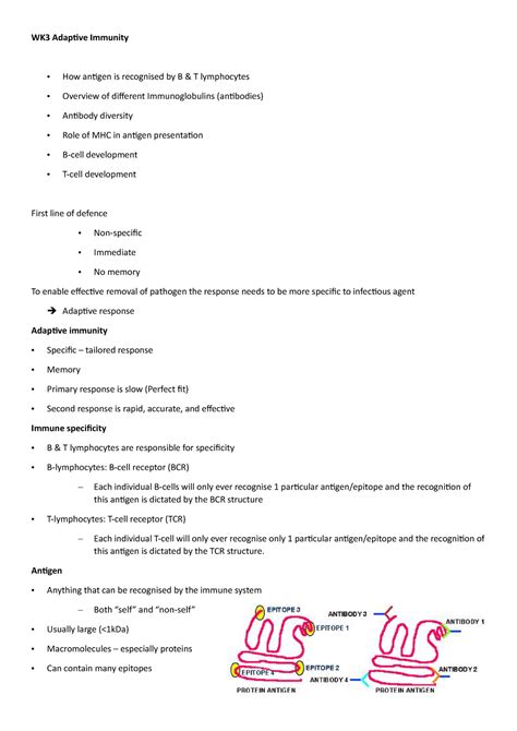 Adaptive Immunity Lecture Notes WK Adaptive Immunity How Antigen Is Recognised By B T