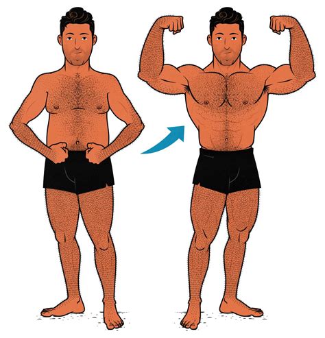 Bulk Cut Nachteile Bulk Oder Cut Training Qaufzw
