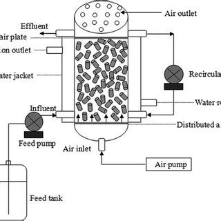 Schematic Diagram Of The Packed Bed Bioreactor Reactor Working Volume