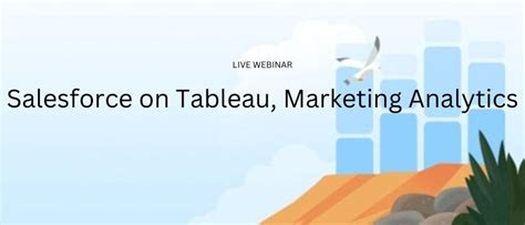 Salesforce On Tableau Marketing Analytics Techdogs