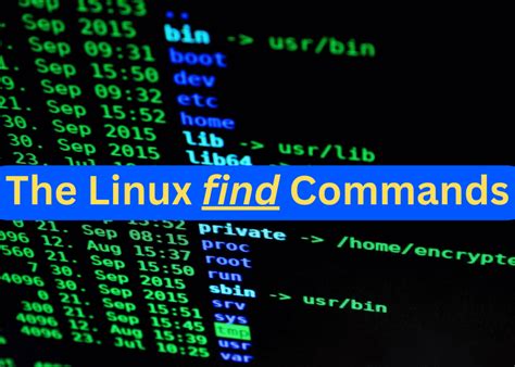 Find Command In Linux 20 Practical Examples To Find Files Fast Zekbyte