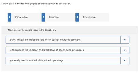 Solved Match Each Of The Following Types Of Enzymes With Its