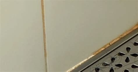 사진은 고치기전이에요 누수도 잘 모르고 집에 놀러온 가족들이 물새는거같다고 해서 맡기게 됐어요 연락 받는것도 친절하셨고 직접 방문해주시고 금방 확인해서 다 알아서 해결해