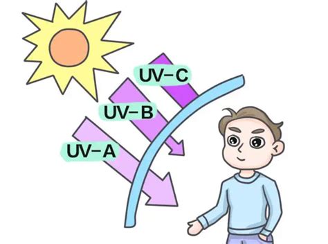 UVA UVB And UVC Radiation Everything You Need To Know Shenzhen Suntech Company Limited