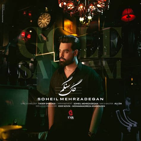 دانلود آهنگ گل سنگم از سهیل مهرزادگان آی گل سنگم چی بگم از دل تنگم ریمیکس