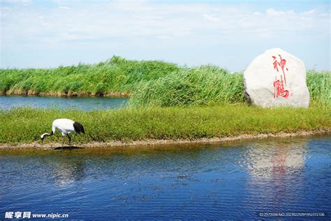 黑龙江扎龙湿地摄影图 自然风景 自然景观 摄影图库 昵图网