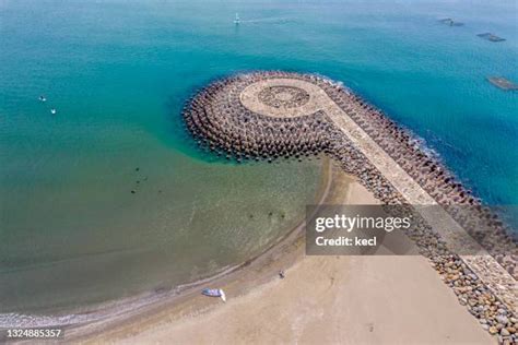 Tetrapod Structure Photos And Premium High Res Pictures Getty Images