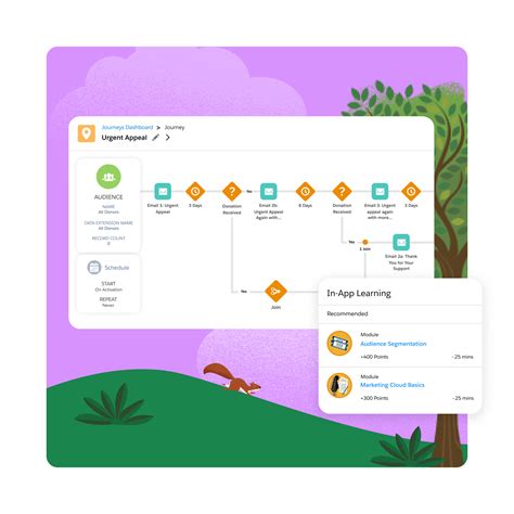 Nonprofit Success Pack And Other Managed Packages Salesforce Emea