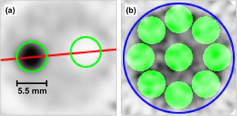 a spect cross section of the phantom s contrast region with green