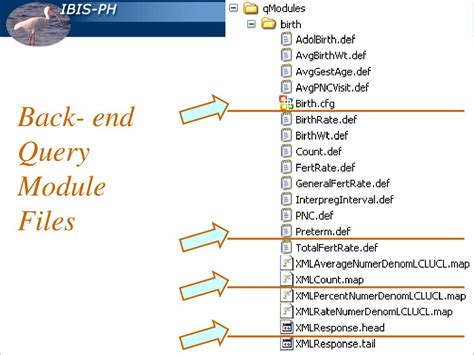 ppt developing an ibis q query module powerpoint presentation free