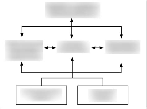 Module 3 Chapter One Week 5 Diagram Quizlet