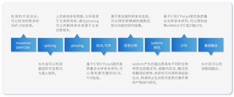 新品发布 单细胞转录组二代 三代测序解决方案 知乎