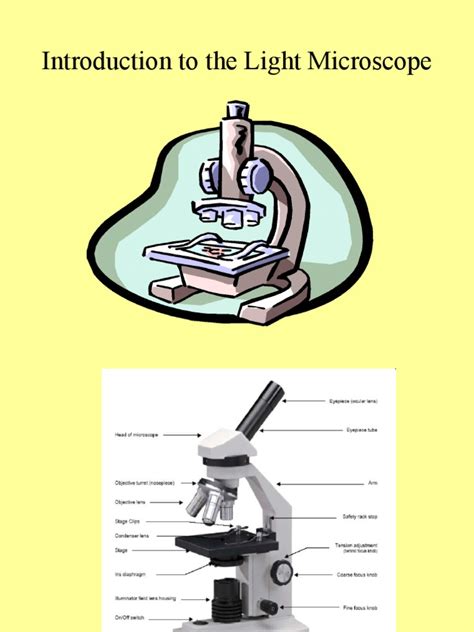 Grade 7 Microscope Download Free Pdf Microscopy Laboratory Equipment