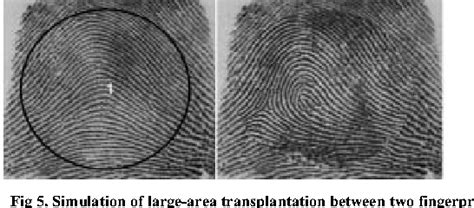 Figure 1 From Automatic Identification And Detection Of Altered Fingerprints Semantic Scholar