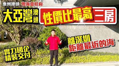 惠州澳頭 粵海壹桂府性價比最高三房 離深圳最近的海 實力國企精裝交付寰宇筍盤瀧珀花園 惠州樓盤 粵港澳大灣區 YouTube