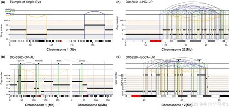 【工具】reconplot一个可视化和解释基因组重排的r包基因可视化分析r包 Csdn博客