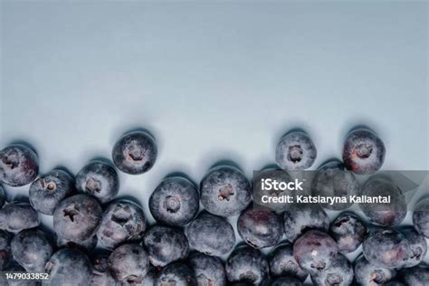 파란색 배경에 육즙이 많은 블루베리 블루 베리 배경입니다 건강한 베리 유기농 식품 산화 방지제 비타민 푸른 음식 블루 베리