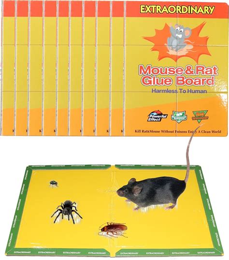 Adhesive Mouse Traps At Alejandro Harden Blog